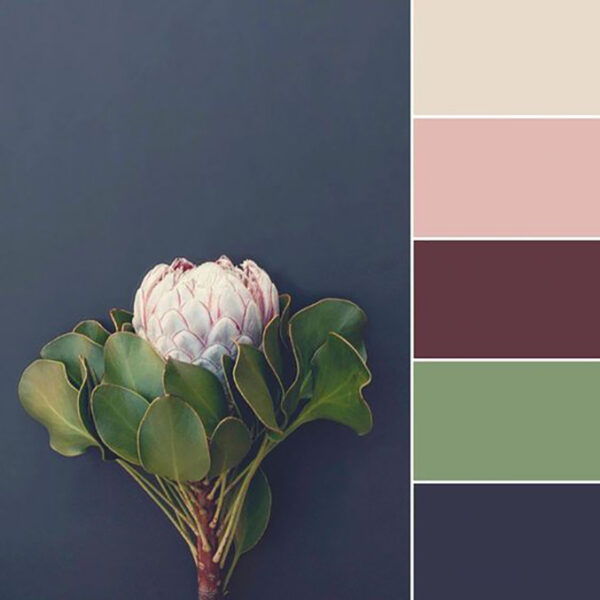 Trending: Millennial Pink in 2018 Color Palettes | Prime Line Packaging